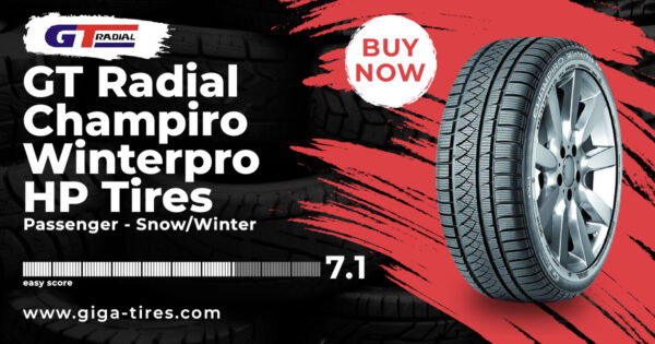Top 5 Affordable Winter Tires