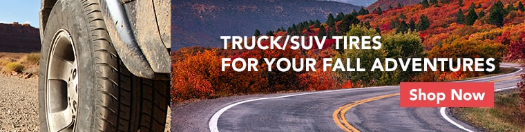 Buy Tires Online | Shop our great selection of new tires. Low prices ...